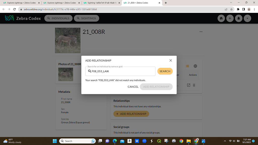Adding Relationship - Support - Wild Me Community Forums