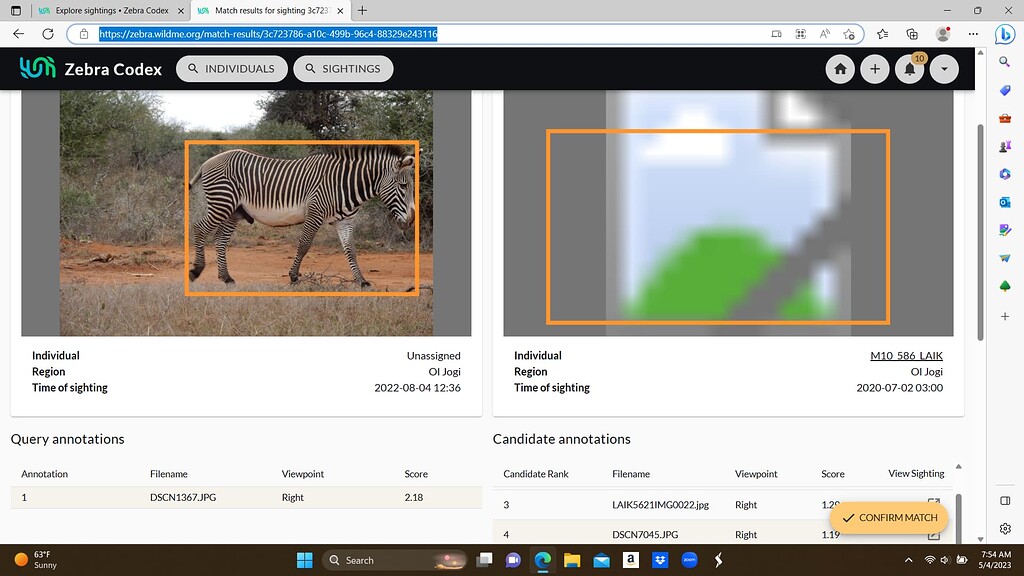 Candidate image delay to appear - Bug Reports - Wild Me Community Forums